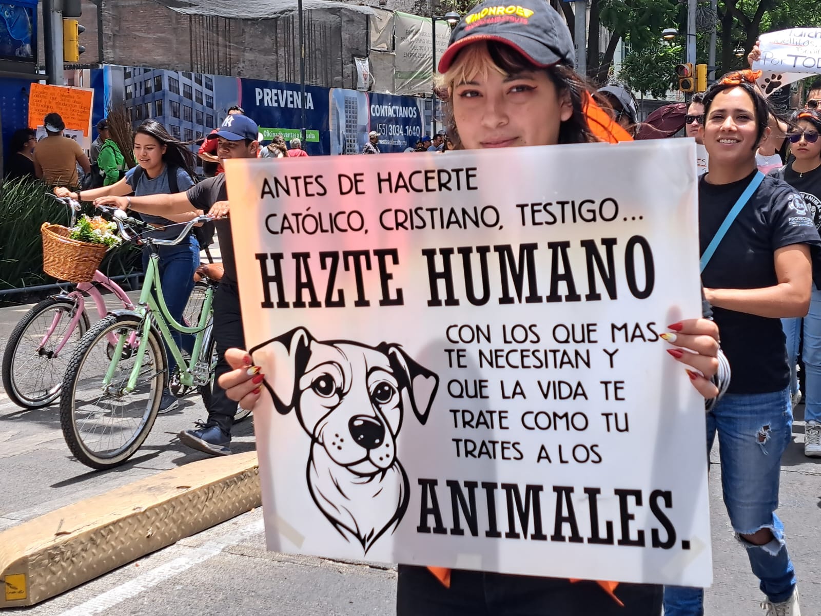 Maltrato animal: Todos somos animales