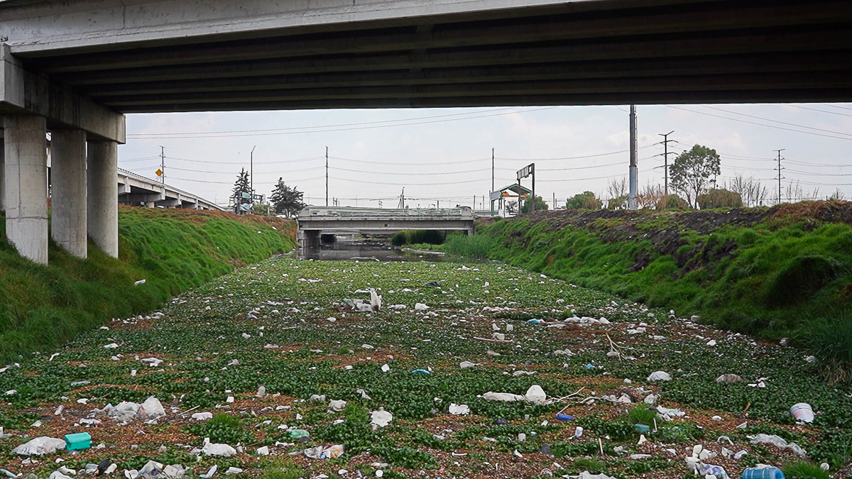 Cascarón de huevo, la fórmula para salvar el río Lerma - Corriente Alterna